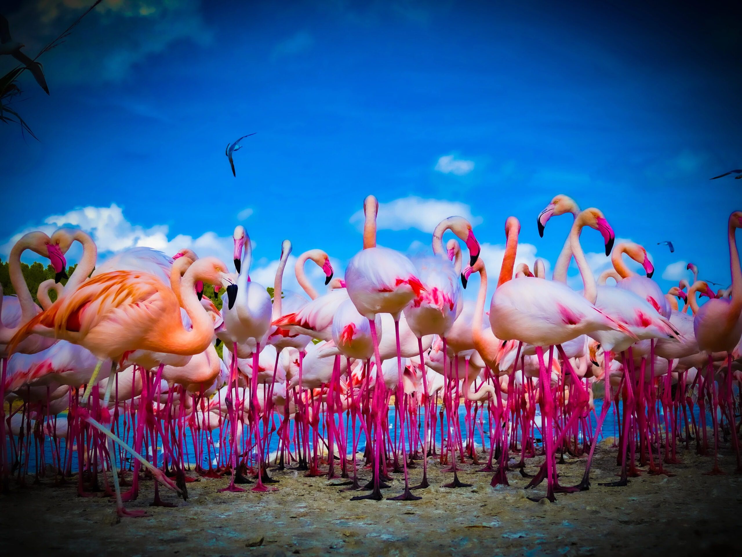 Miami-based Full-Service, Traditional & Digital Marketing Agency